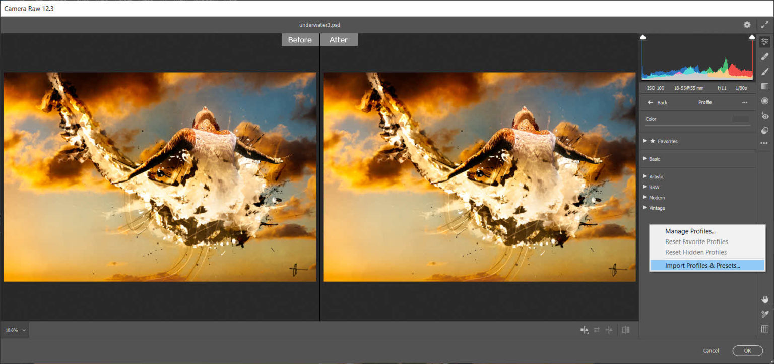 Color Profiles for Camera Raw - A Complete Guide! - Plugin Swirl