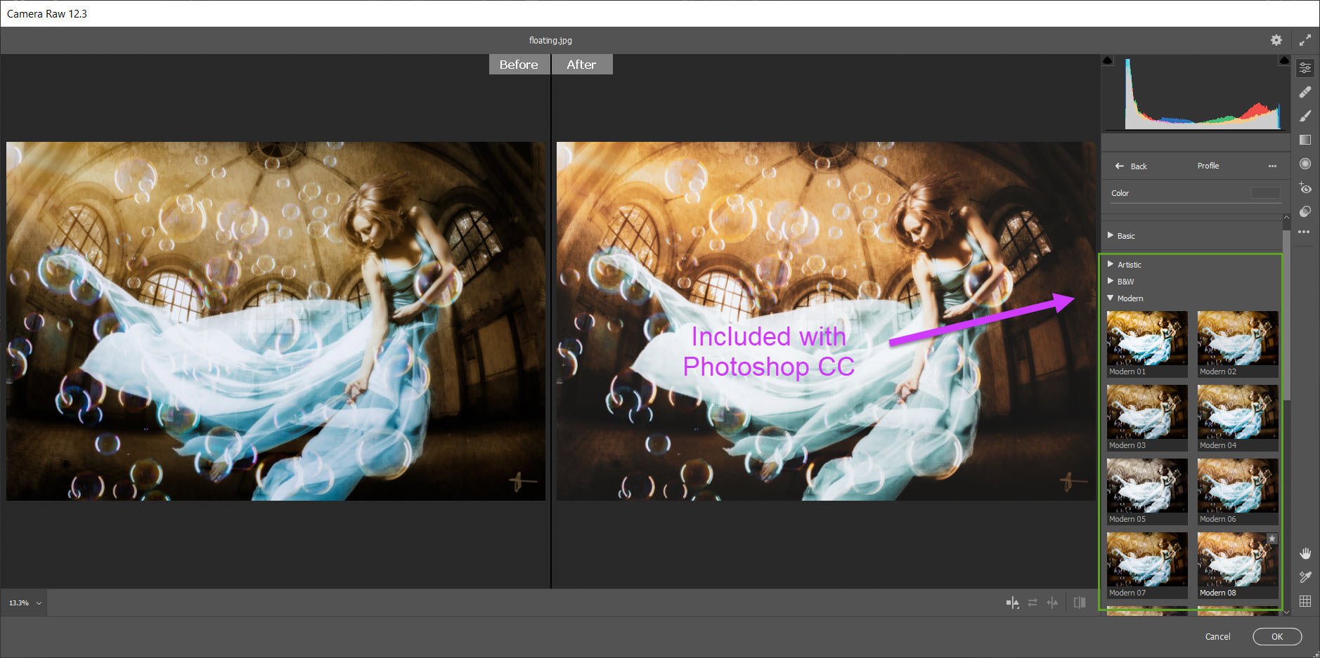 Color Profiles for Camera Raw - A Complete Guide! - Plugin Swirl