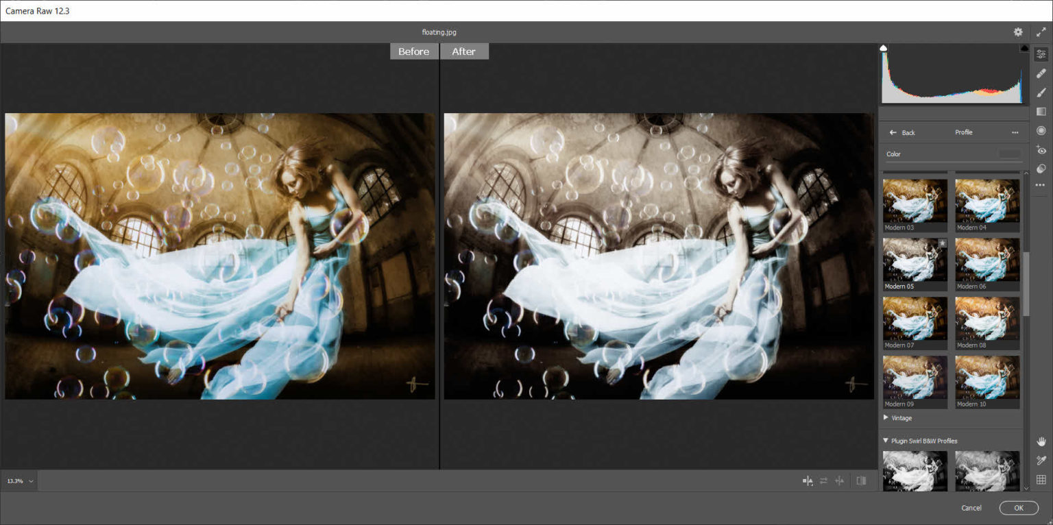 Color Profiles for Camera Raw - A Complete Guide! - Plugin Swirl